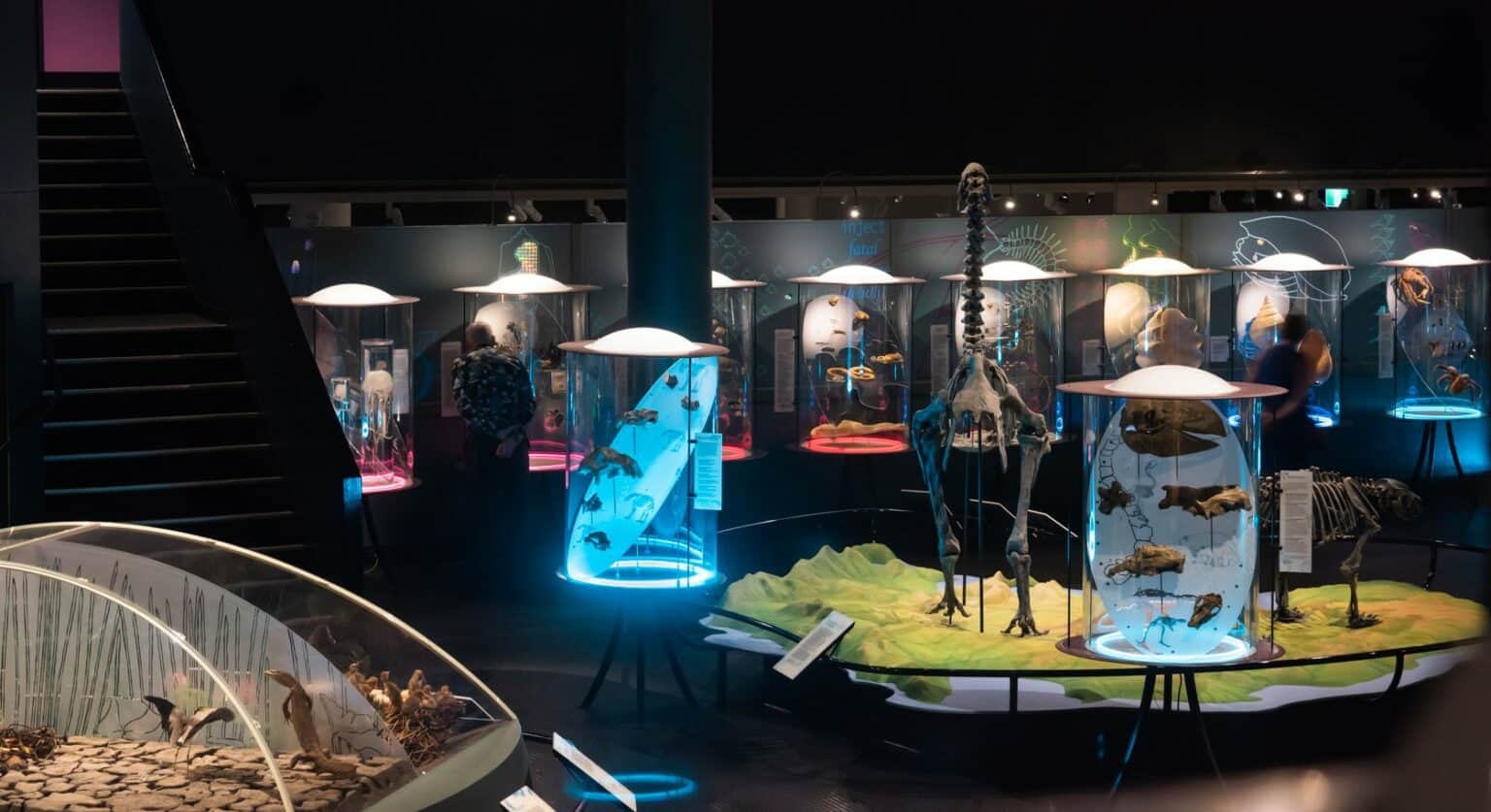 Why Museums matter - CAMD