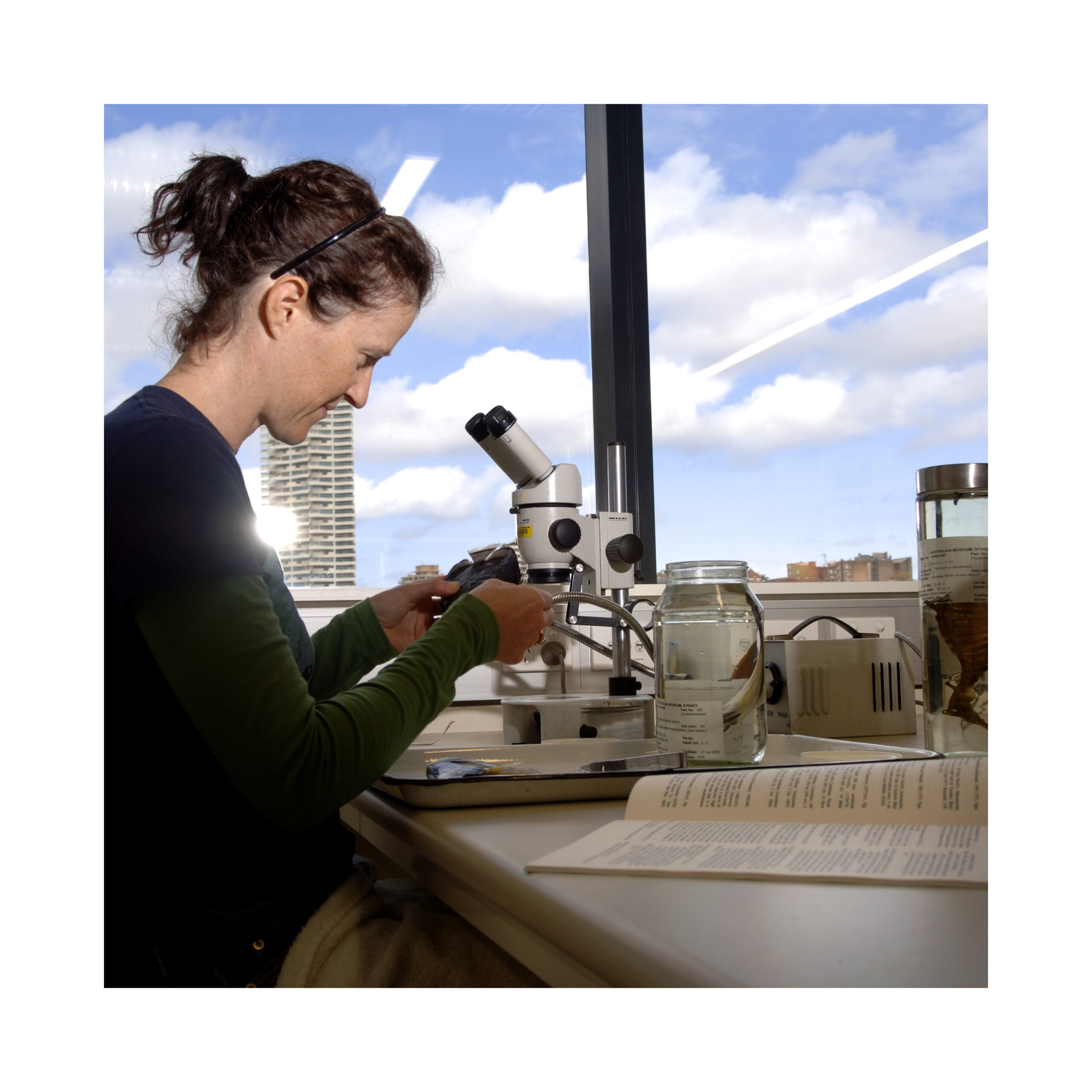 ARC Discovery Grants - CAMD